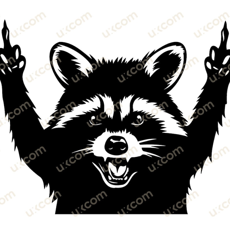 Middle Finger Decal - Etsy