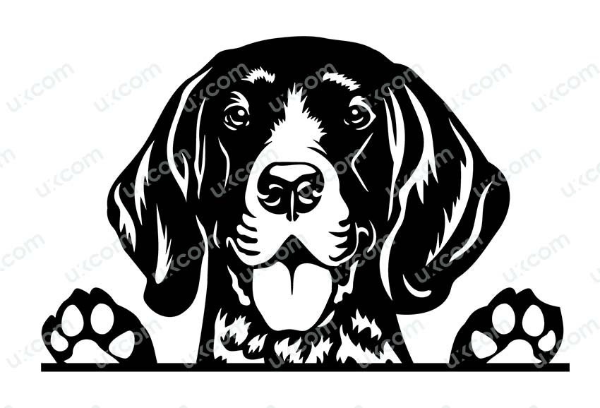German Shorthaired Pointer SVG Peeking Pointer Dog Commercial Canine ...