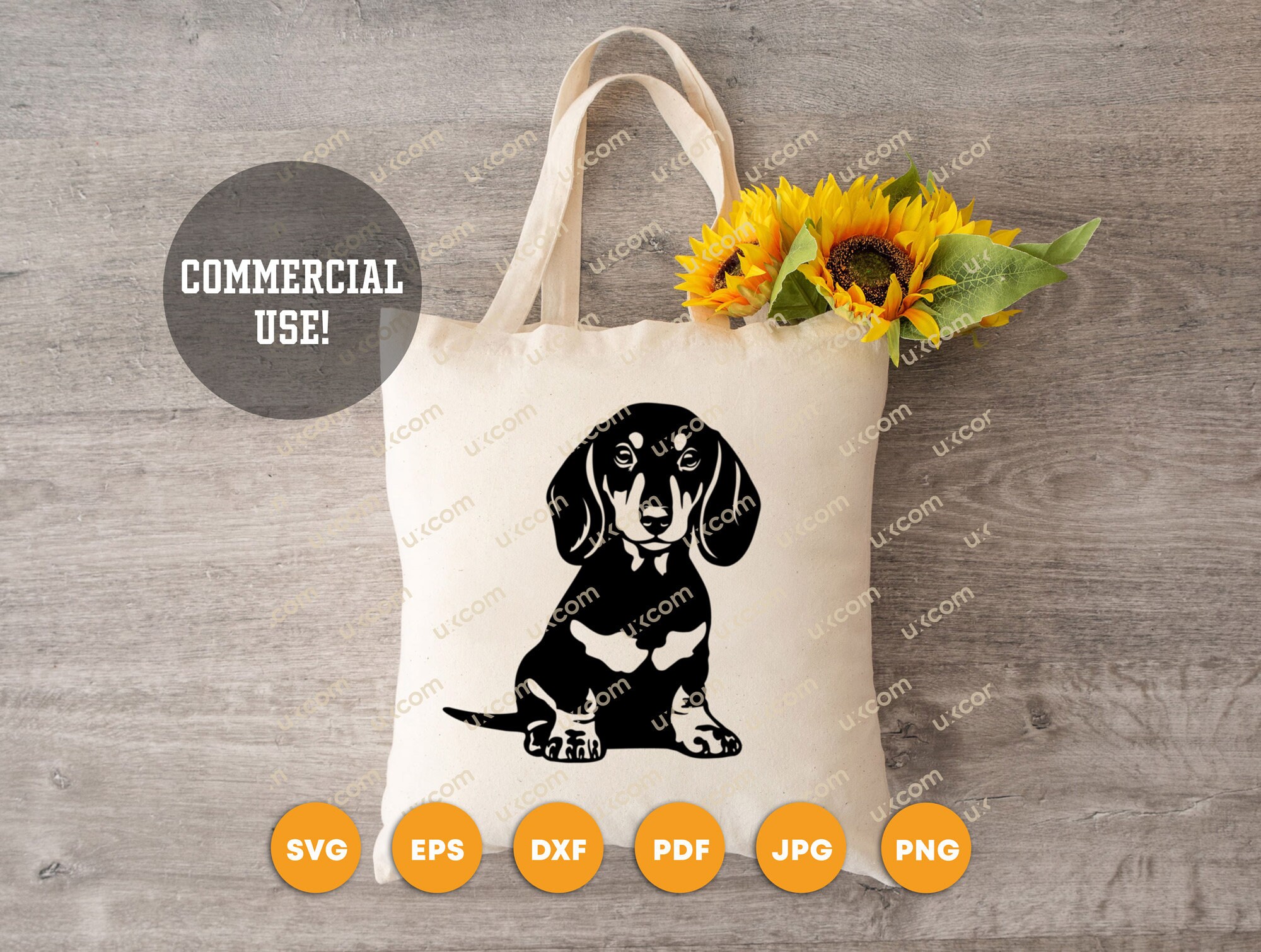 Dachshund SVG Doxie Puppy Cute Dachshund Bundle Set Doxie Commercial ...