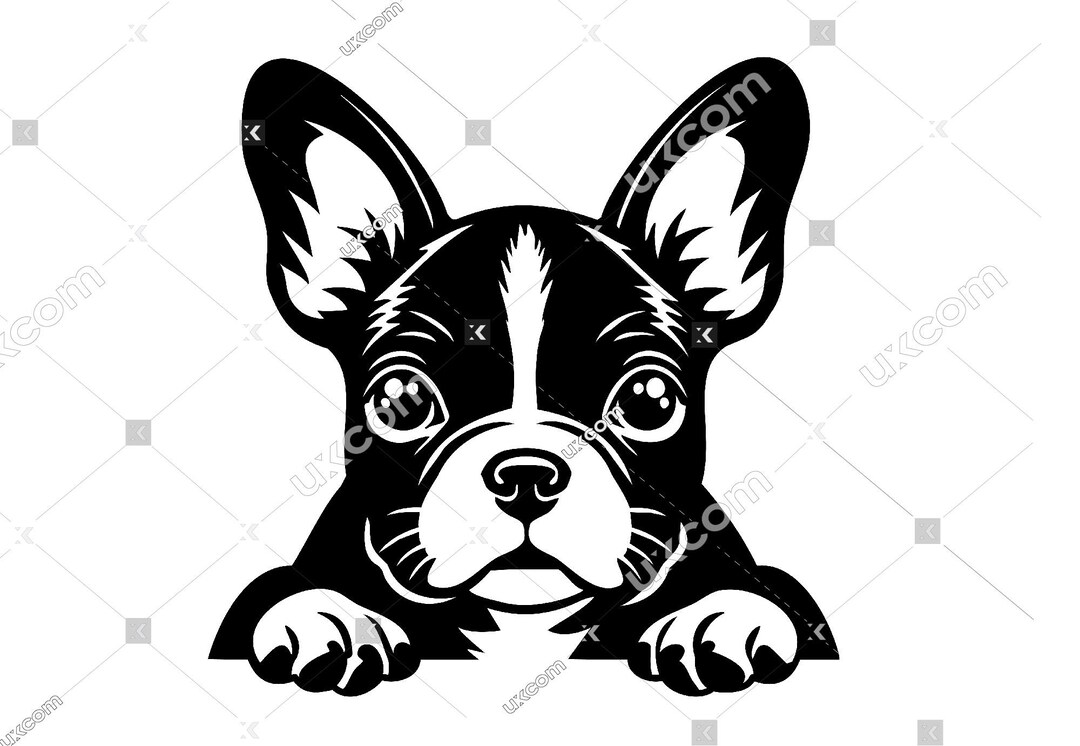 Frenchton Svg French Bulldog Peeking Dog Frenchie Commercial Canine Svg ...