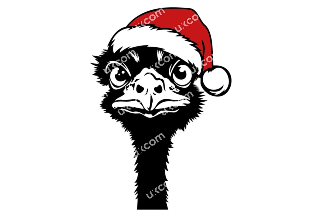 Emu Svg Cute Emu With Santa Hat Ostrich Christmas Emu Commercial Files ...