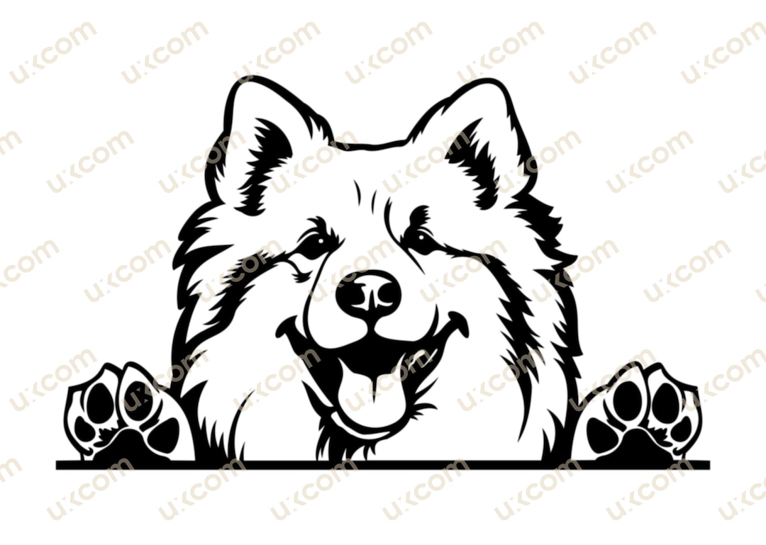 Eskimo Dog Svg Happy American Eskimo Peeking Dog Paws Commercialbreed ...