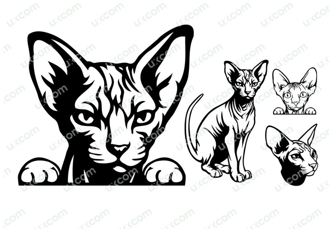 Sphynx Cat Svg Bundle Peeking Paws Commercial Egyptian Cute Hairless ...