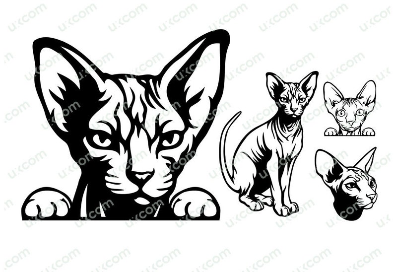 Sphynx Cat Svg Bundle Peeking Paws Commercial Egyptian Cute Hairless ...
