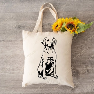 Labrador Svg Set 4 Full Body Labrador Clipart Bundle Dog Breed ...