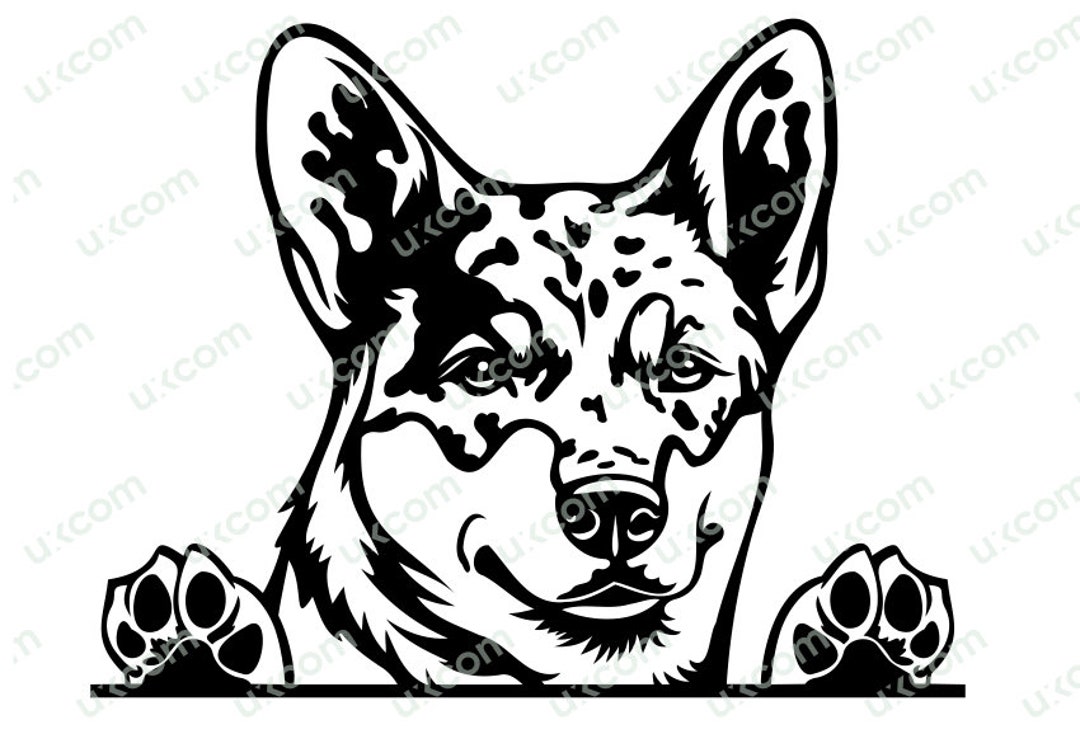 Australian Cattle Dog Svg Peeking Dog Blue Heeler Breed Commercial Mom ...