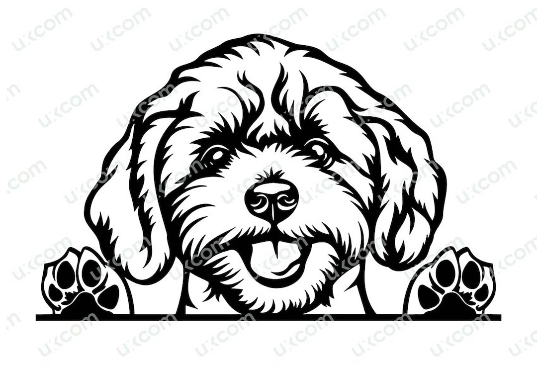 Cavapoo Peeking Dog Commercial Cavoodle Mom Cute Cavapoo SVG PNG EPS ...