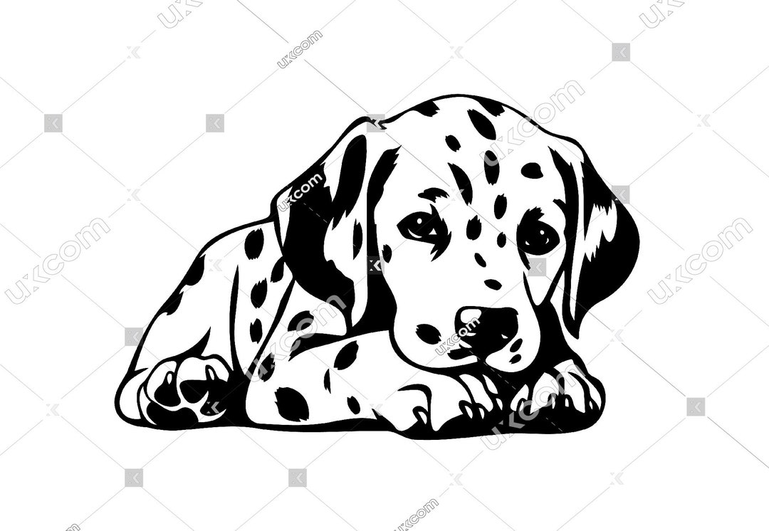 Dalmatian Puppy Svg Cute Dalmatian SVG Dalmatian Breed Canine Full Body ...