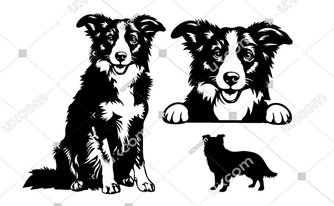 Border Collie Svg Peeking Dog 3 Border Collie Bundle Set Happy Collie ...
