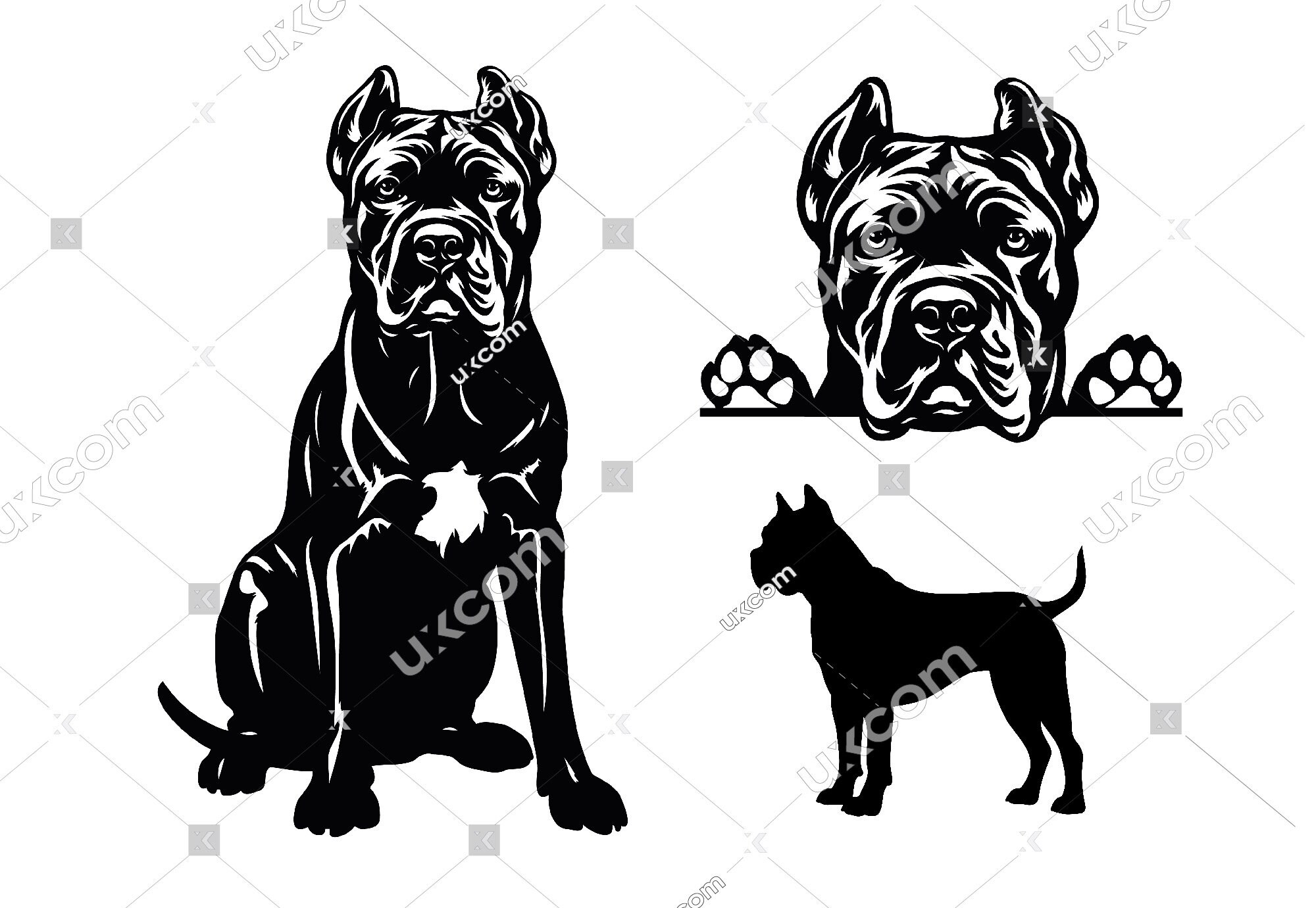 Cane Corso Svg Corso Peeking Dog 3 Cane Corsoset Breed Commercial Dog ...