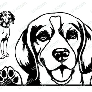 Beagle Peeking Dog Svg Smiling Dog Commercial Beagle Mom Dog Lover ...