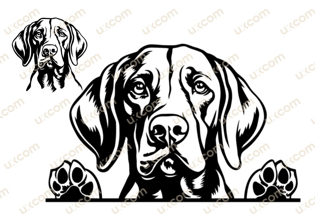 Vizsla Svg Vizsla Peeking Dog Paws Commercial Breed Canine Pet Hound ...