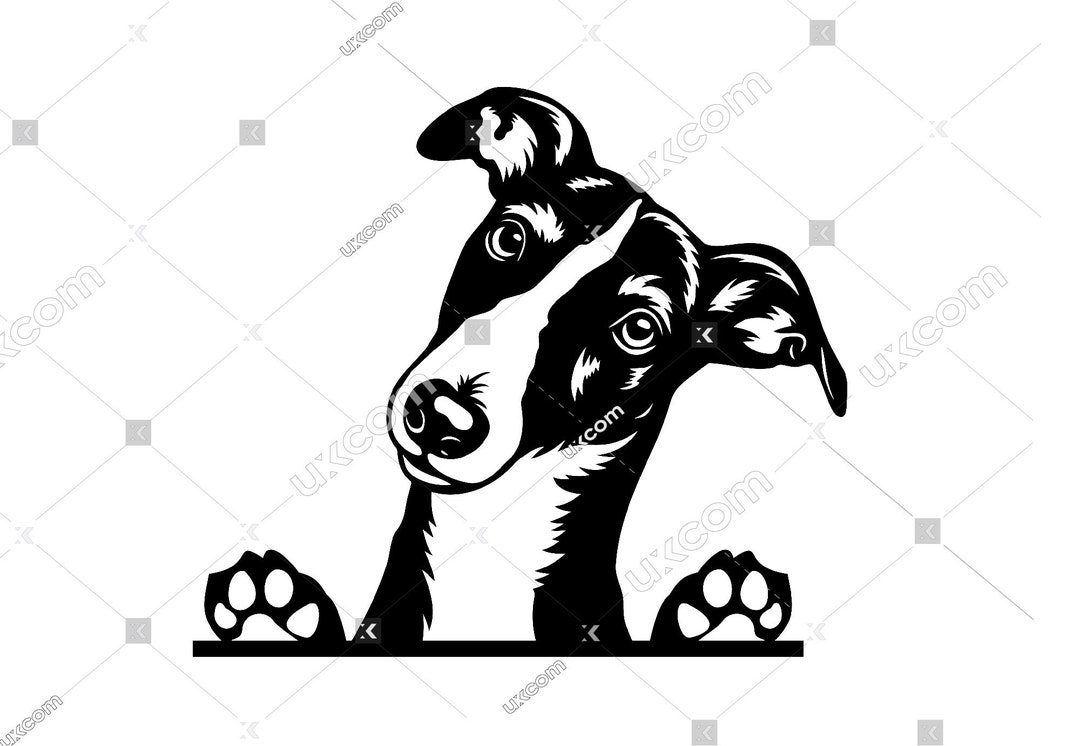 Greyhound Svg Greyhound Peeking Dog Commercial Cute Greyhound Cut File ...