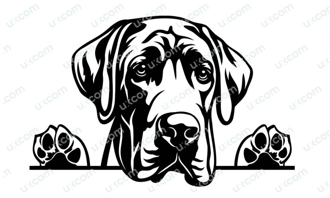 Great Dane Peeking Dog Great Dane Svg Great Dane Commercial Canine ...