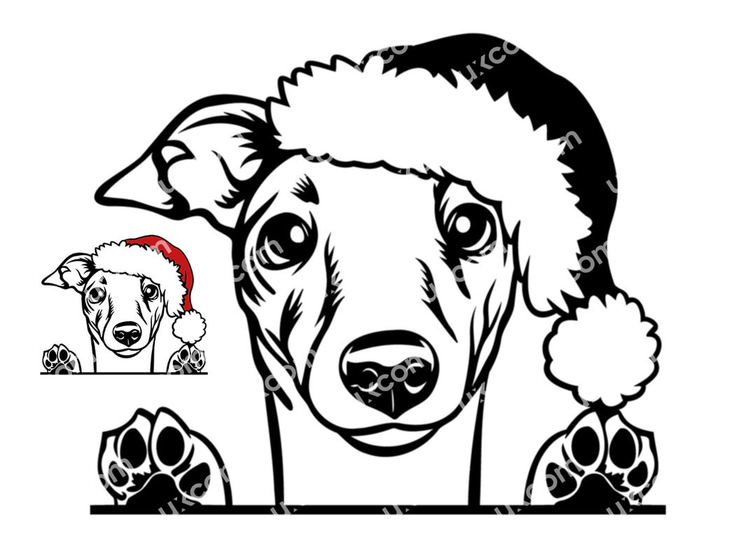 Italian Greyhound Peeking Dog Greyhound Svg Greyhound Santa Hat ...