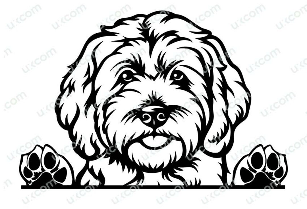 Labradoodle Goldendoodle Peeking Dog Commercial Doodle Mom Dog Lover ...