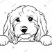 Cavapoo Svg Cavapoo Peeking Dog Commercial Cute Cavapoo Puppy CNC Svg ...