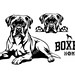 Boxer Peeking Svg Cute Boxer Svg Dog Boxer Mom 3 Commercial Canine ...