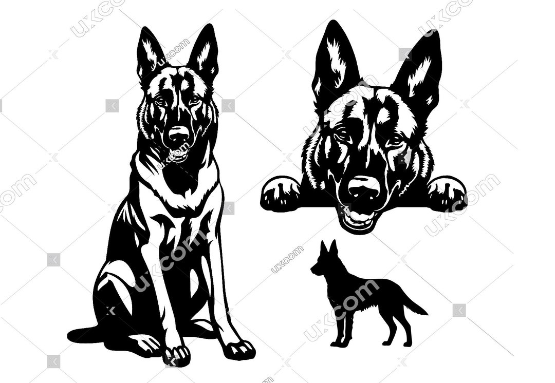 Belgian Malinois Peeking Dog 3 Belgian Malinois Svg Set Bundle Belgian ...