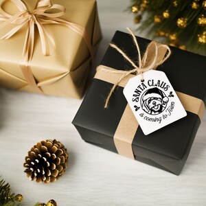 Cavapoo Svg Dog Commercial Cavoodle Mom Cute Cavapoo Christmas Santa ...