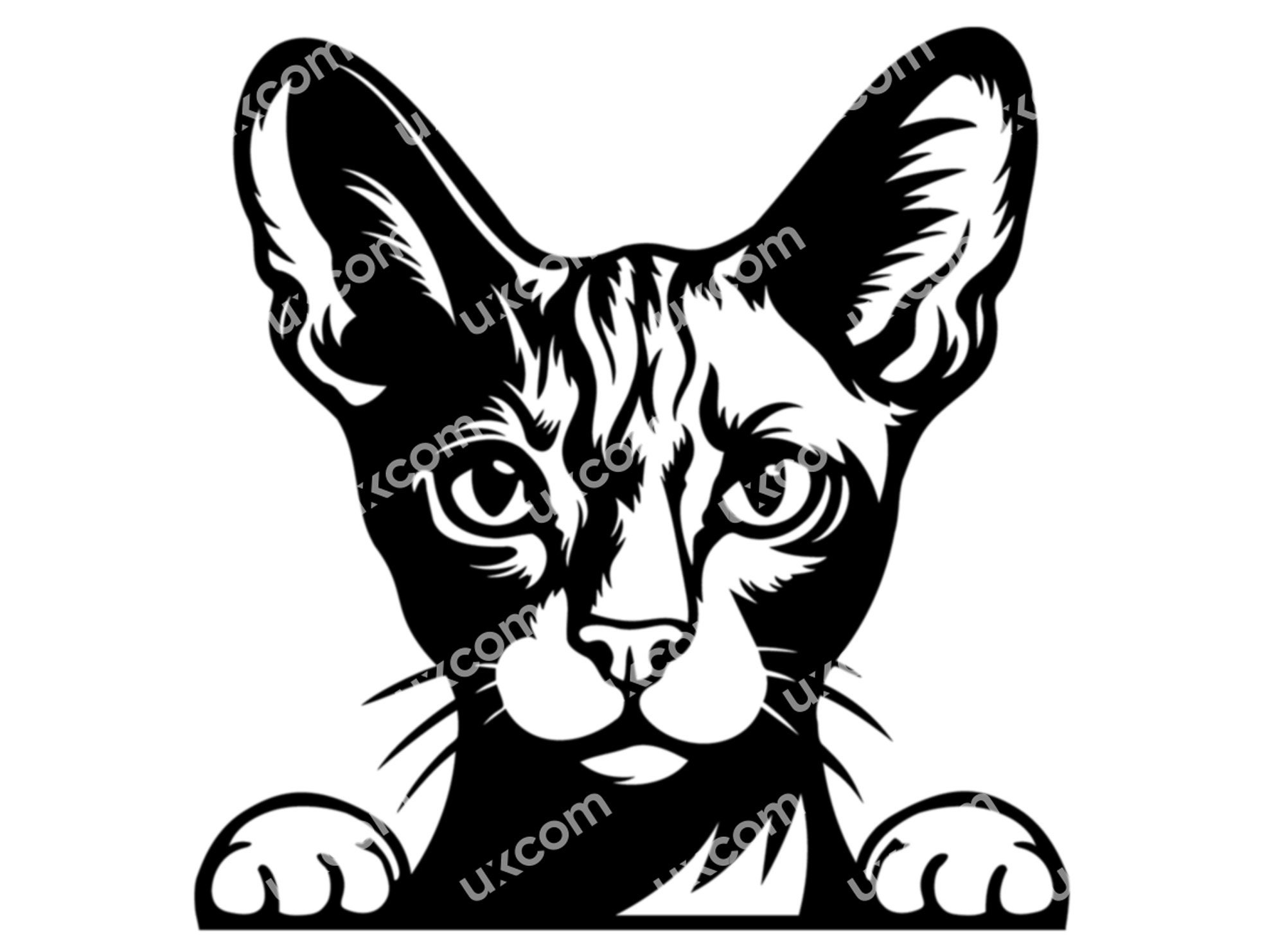 Abyssinian Cat Svg Abyssinian Peeking Paws Commercial Cute Abyssinian ...