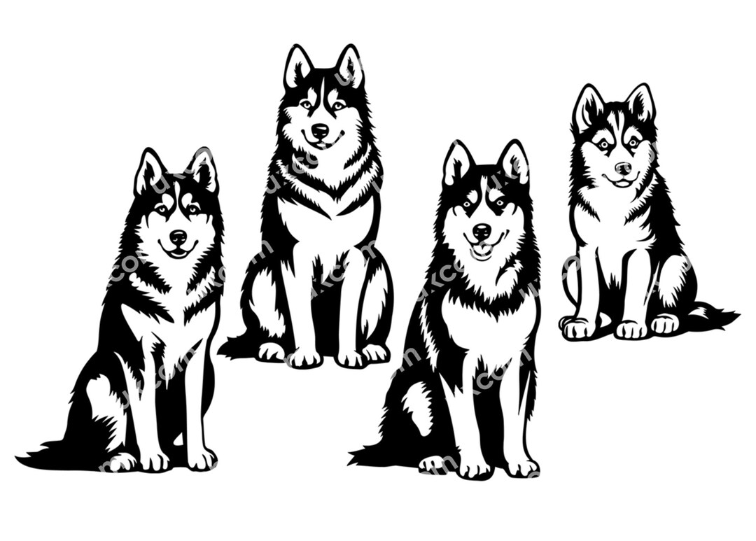 Siberian Husky Set Svg Husky Full Body Commercial Happy Husky Puppy ...