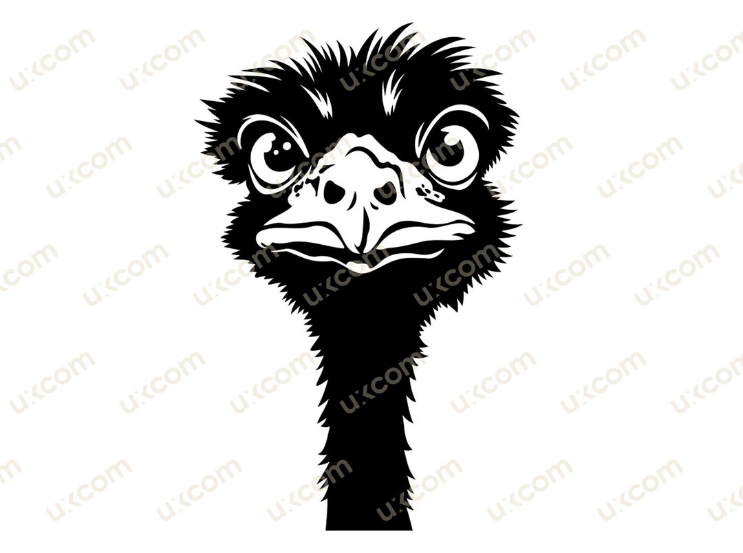 Emu Svg Clipart Ostrich Portrait Cut File Cricut Funny Emu Tshirt Mugs ...