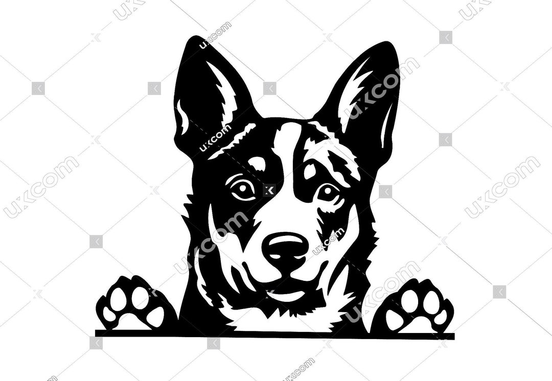 Australian Cattle Dog Svg Peeking Dog Blue Heeler Breed Commercial Mom ...