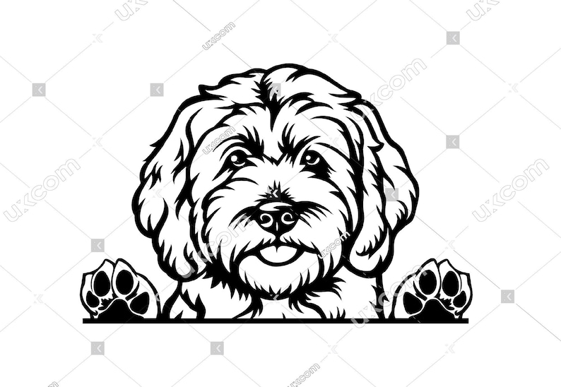 Labradoodle Goldendoodle Peeking Dog Commercial Doodle Mom Dog Lover ...
