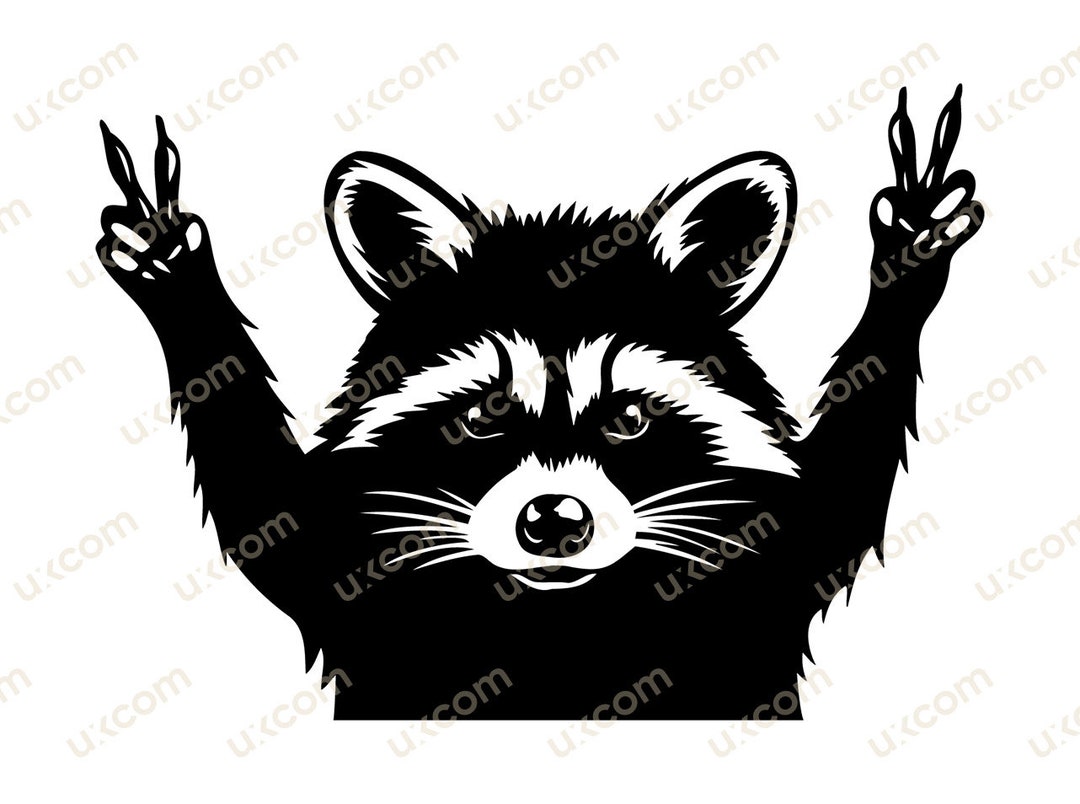 Raccoon Peace Funny Raccoon V Sign Commercial Cute Racoon Victoria ...