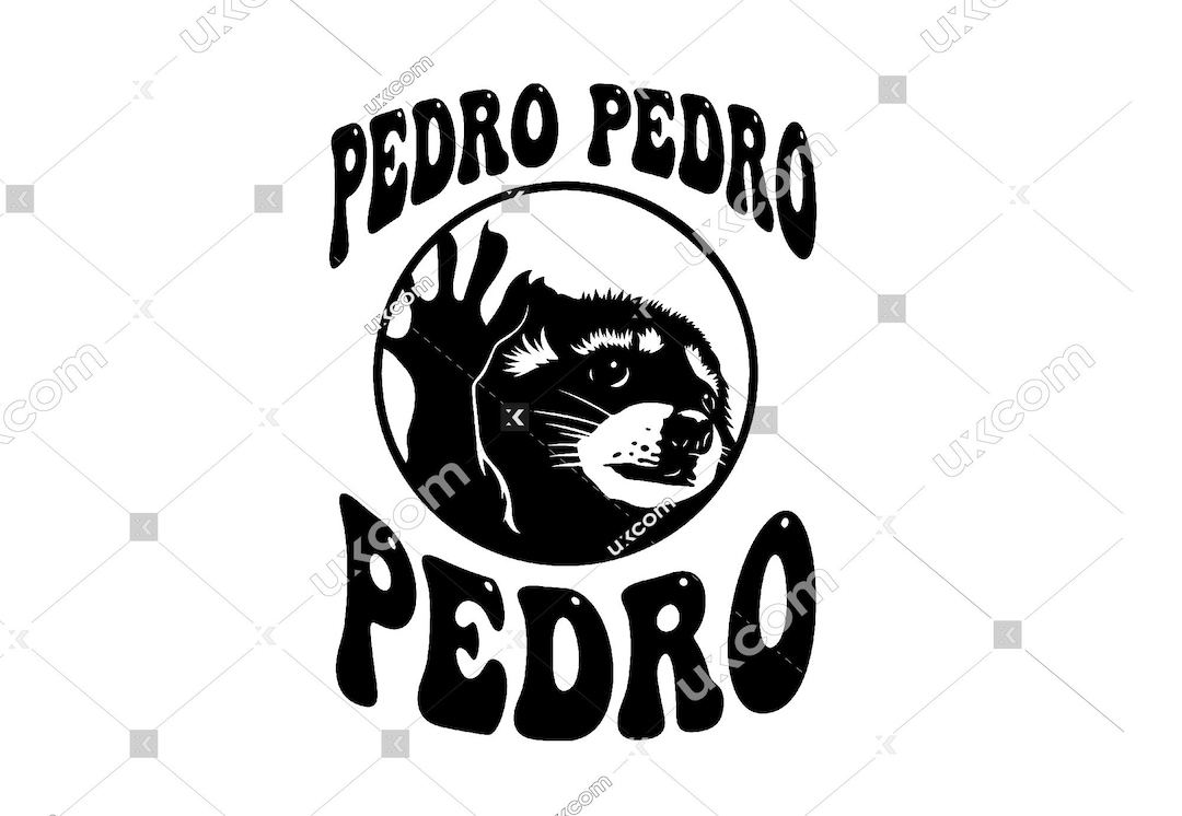 Pedro Pedro Raccoon Svg Funny Raccoon Tshirt Design Pedro Svg ...