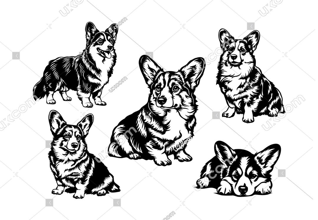 Corgi SVG 5 Cute Corgi Set Bundle Corgi Dog Breed Pedigree Canine ...