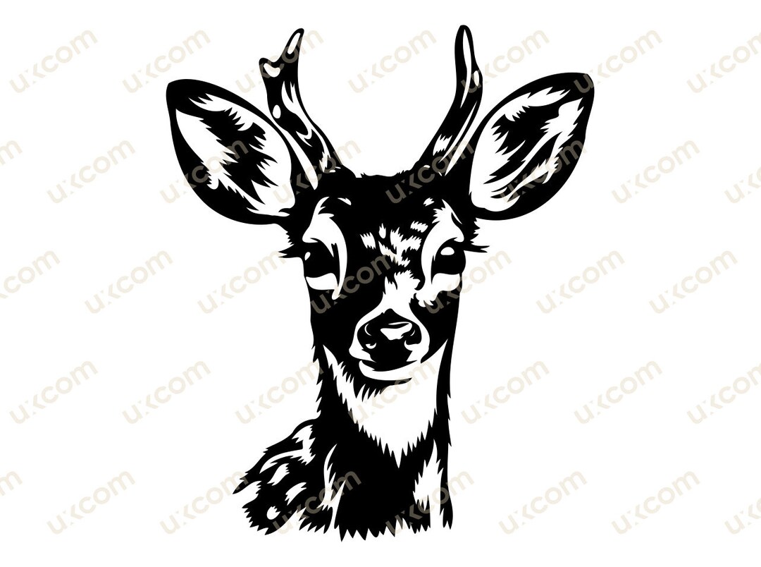 Little Deer Portrait Svg Cut File Cricut Cute Deer Daniel Baby Tshirt ...