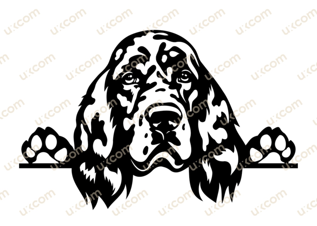 English Setter Peeking Dog Commercial Breed Setter Clipart Canine ...