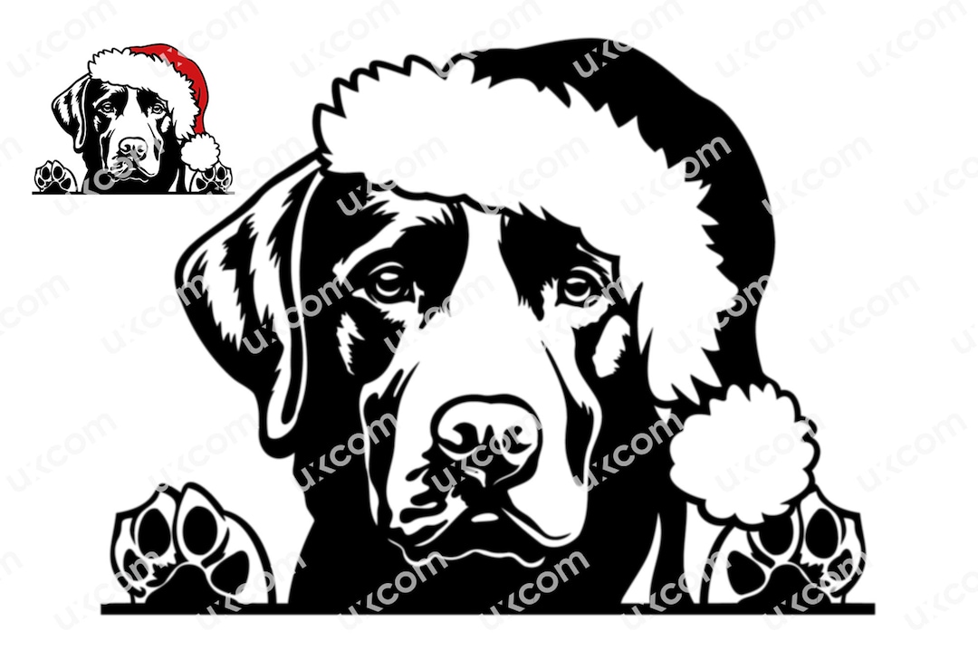 Labrador Retriever Peeking Svg Christmas Labrador Santa Hat Peeking Lab ...