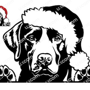 Labrador Retriever Peeking Svg Christmas Labrador Santa Hat Peeking Lab ...