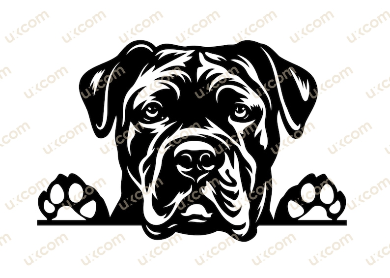 Cane Corso Svg Corso Peeking Paws Cone Corso Commercial Dog Breed Cane ...