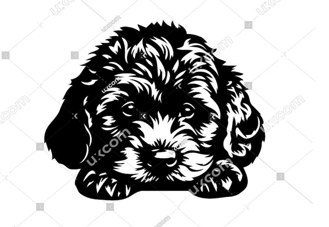 Cavapoo Svg Cavapoo Peeking Dog Commercial Cute Cavapoo Puppy CNC Svg ...