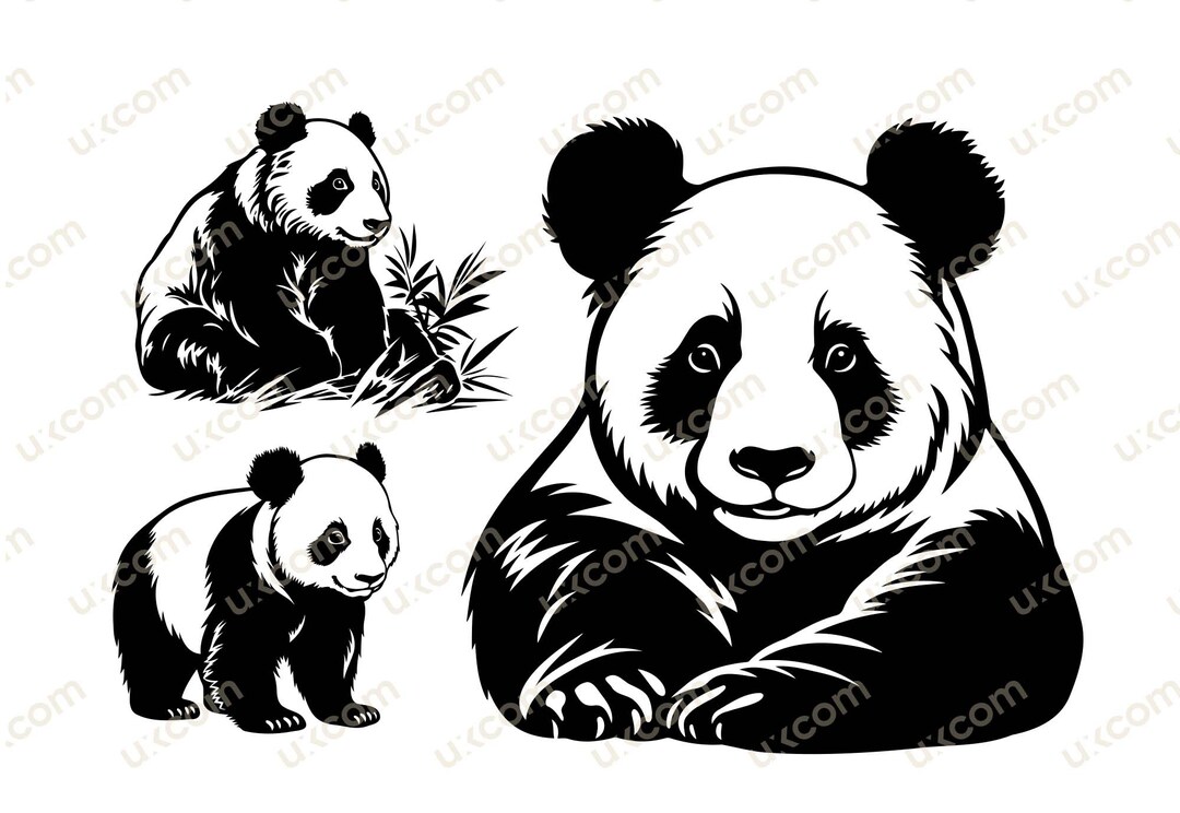 Panda Peeking Svg Cut File Cricut Cute Panda Baby Clipart Tshirt ...