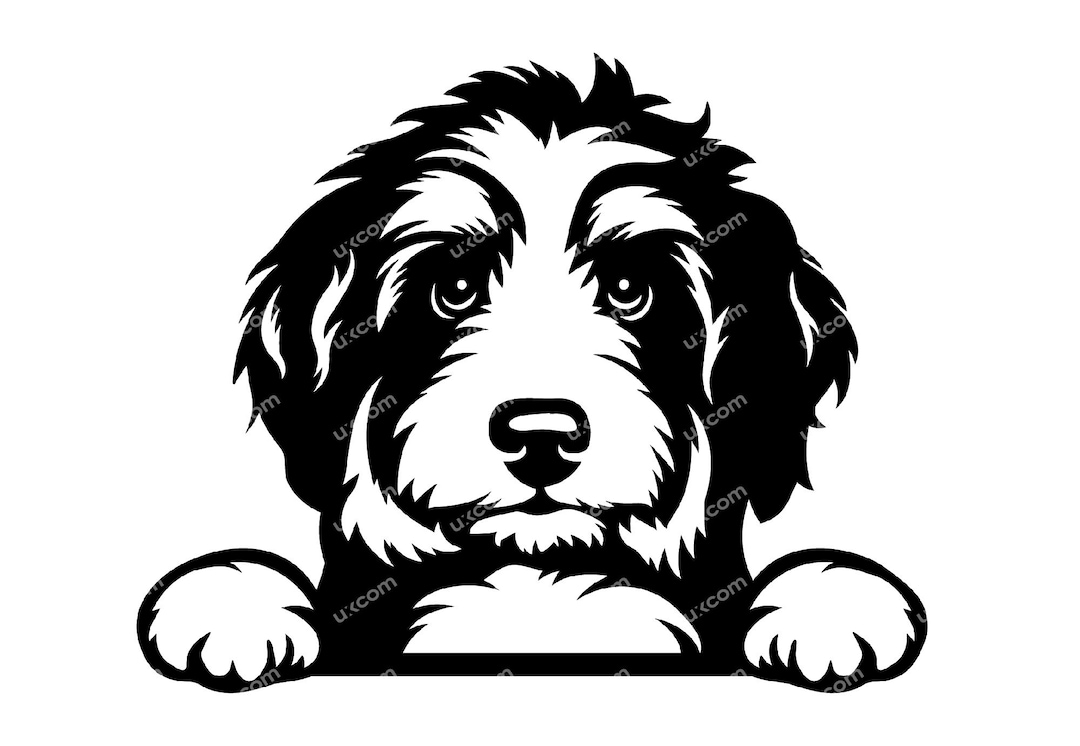 Bernedoodle Peeking Bernedoodle Svg Commercial Doodle Mom Bernadoodle ...