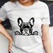 French Bulldog Svg French Bulldog Peeking Dog Frenchie Commercial ...
