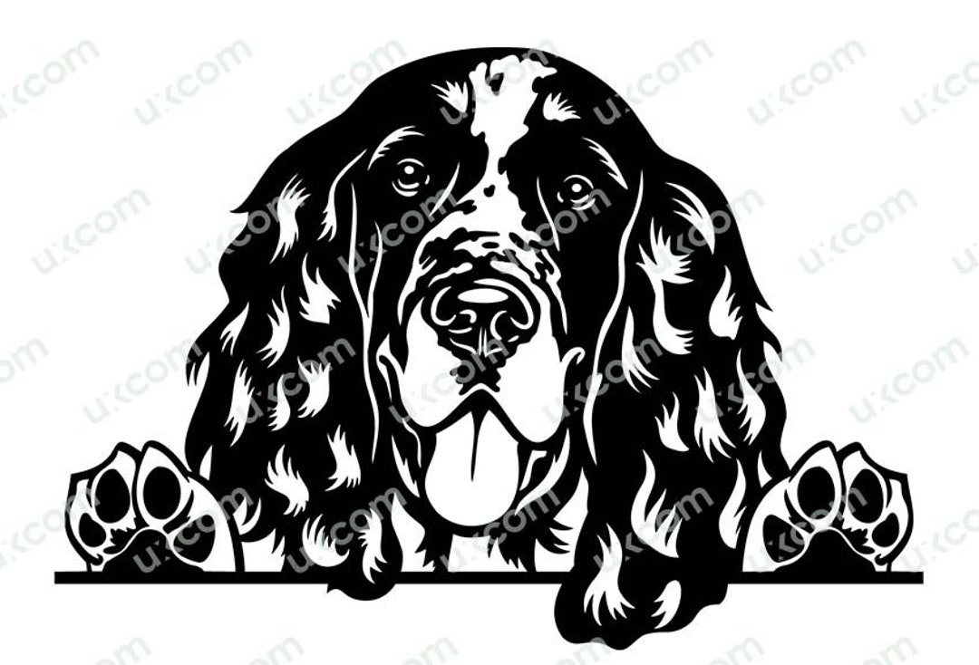 English Springer Spaniel Peeking Dog Breed Pedigree Canine Springer Svg ...
