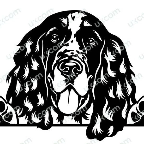 Springer Spaniel Art - Etsy