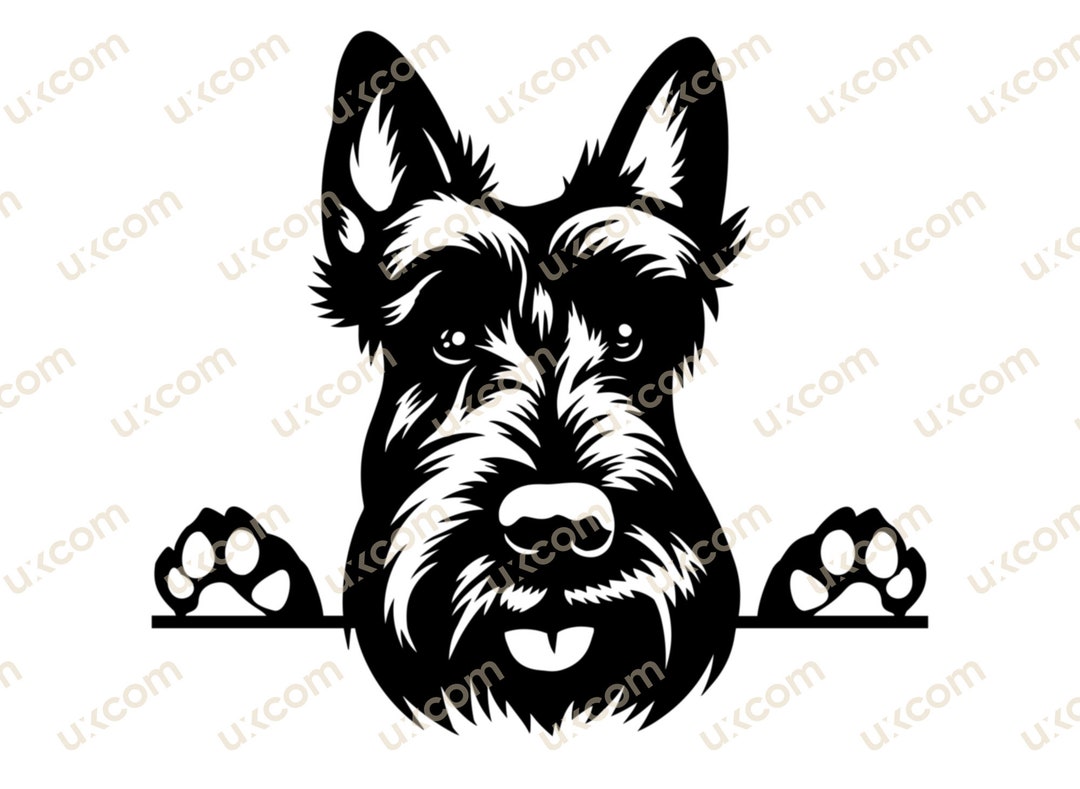 Scottish Terrier Svg Peeking Dog Commercial Happy Terrier Canine ...