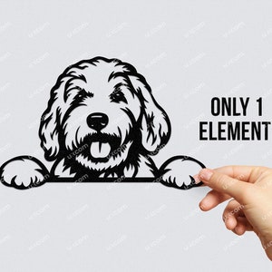 Goldendoodle Peeking Goldendoodle Svg Labradoodle Svg Commercial Doodle ...