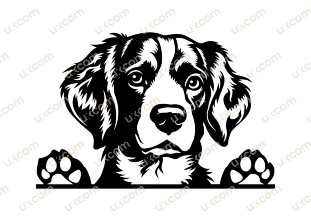 Brittany Svg Brittany Peeking Dog Commercial SVG PNG EPS Clipart ...