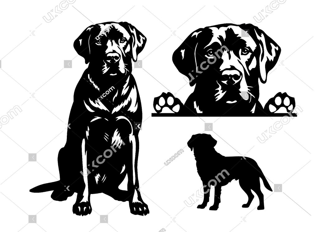 Labrador Retriever Peeking Dog Paws 3 Black Labrador Retriever SVG ...