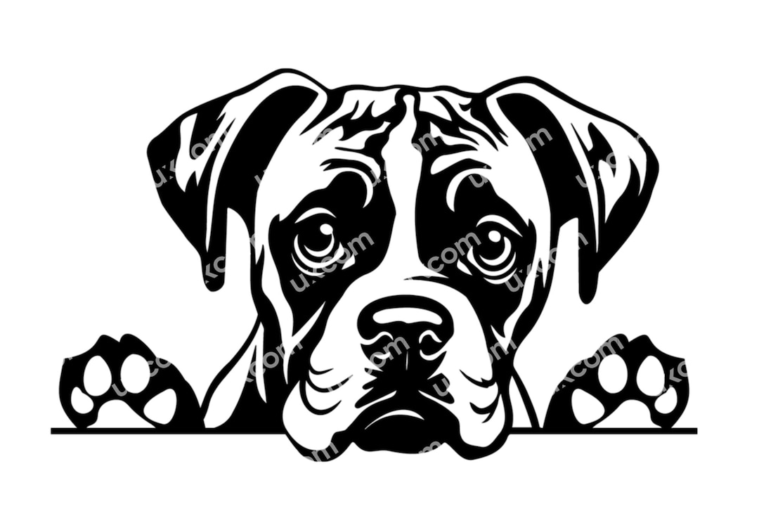 Boxer Peeking Svg Cute Boxer Svg Dog Boxer Breed Commercial Canine ...