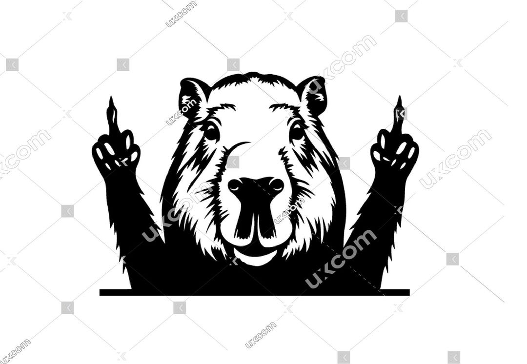 Capybara Svg Peeking Capybara Middle Finger Funny Capybara Cricut Cut ...