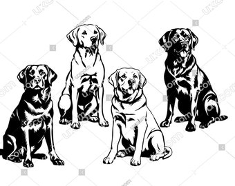 20 Labrador Svg Full Body Labrador Clipart Bundle Dog Breed Retriever ...